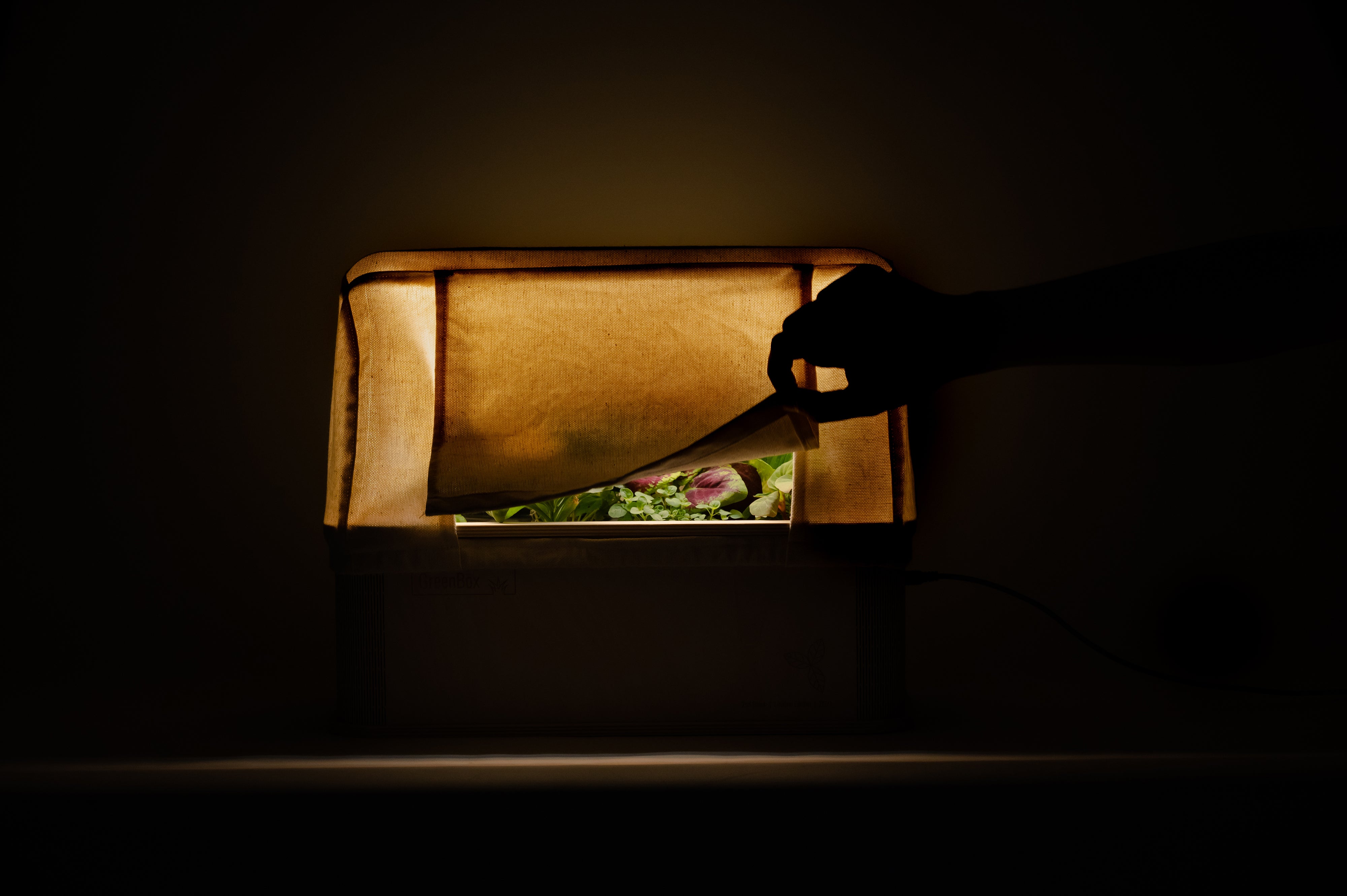 Pacote de Início Deluxe GreenBox – BERLIN GREEN