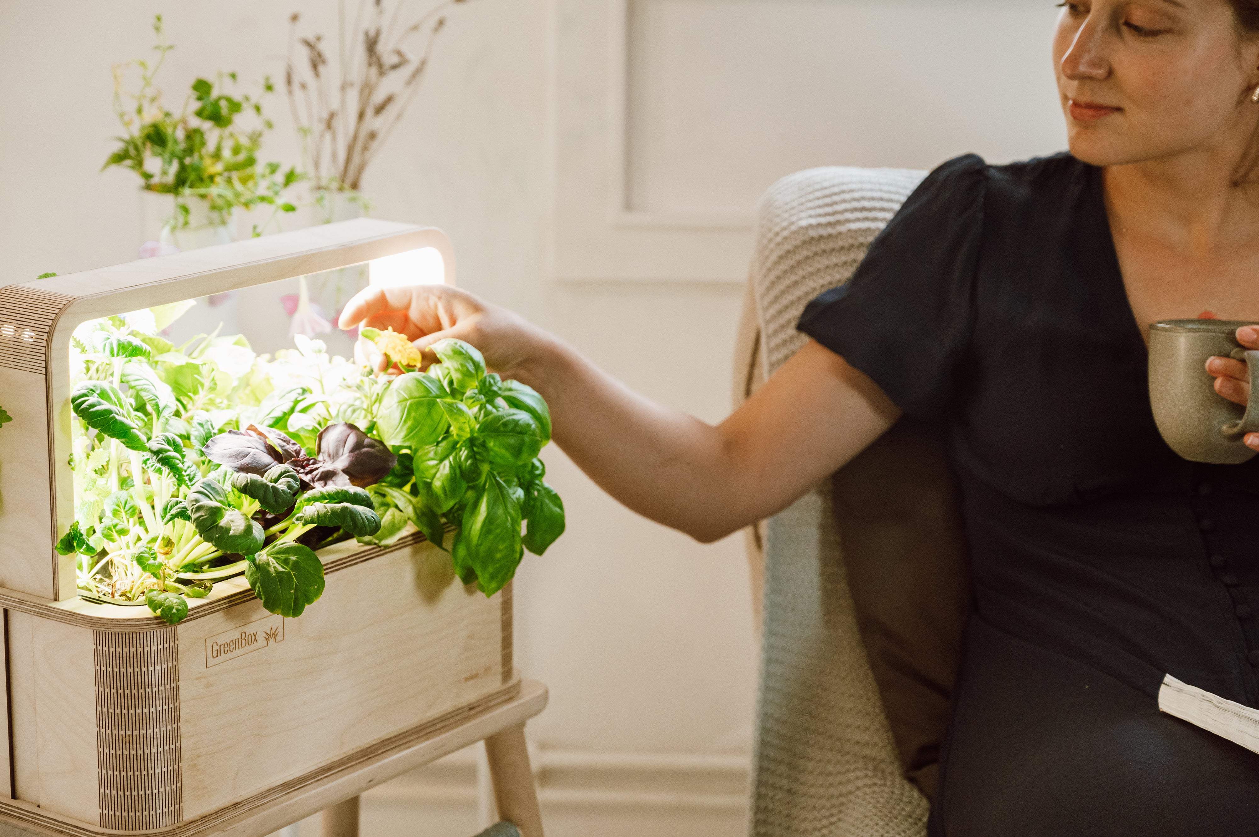 Pacote de Início Deluxe GreenBox – BERLIN GREEN